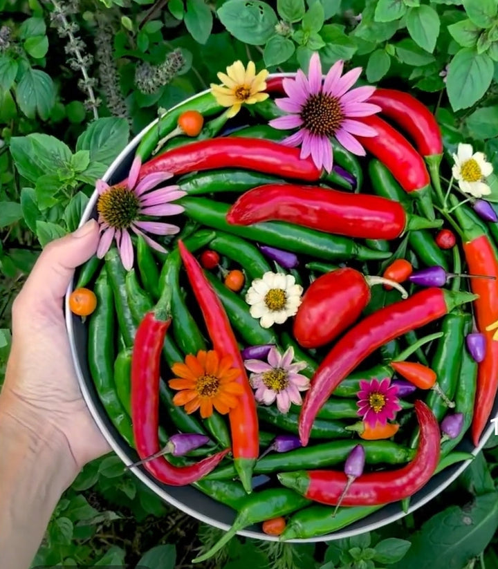 Earthfood is Life, naturally better.