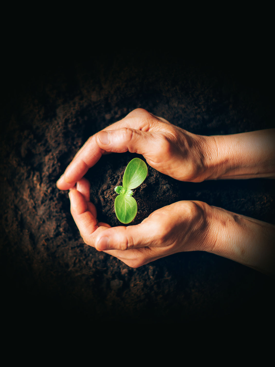 Earthfood is Life, naturally better.