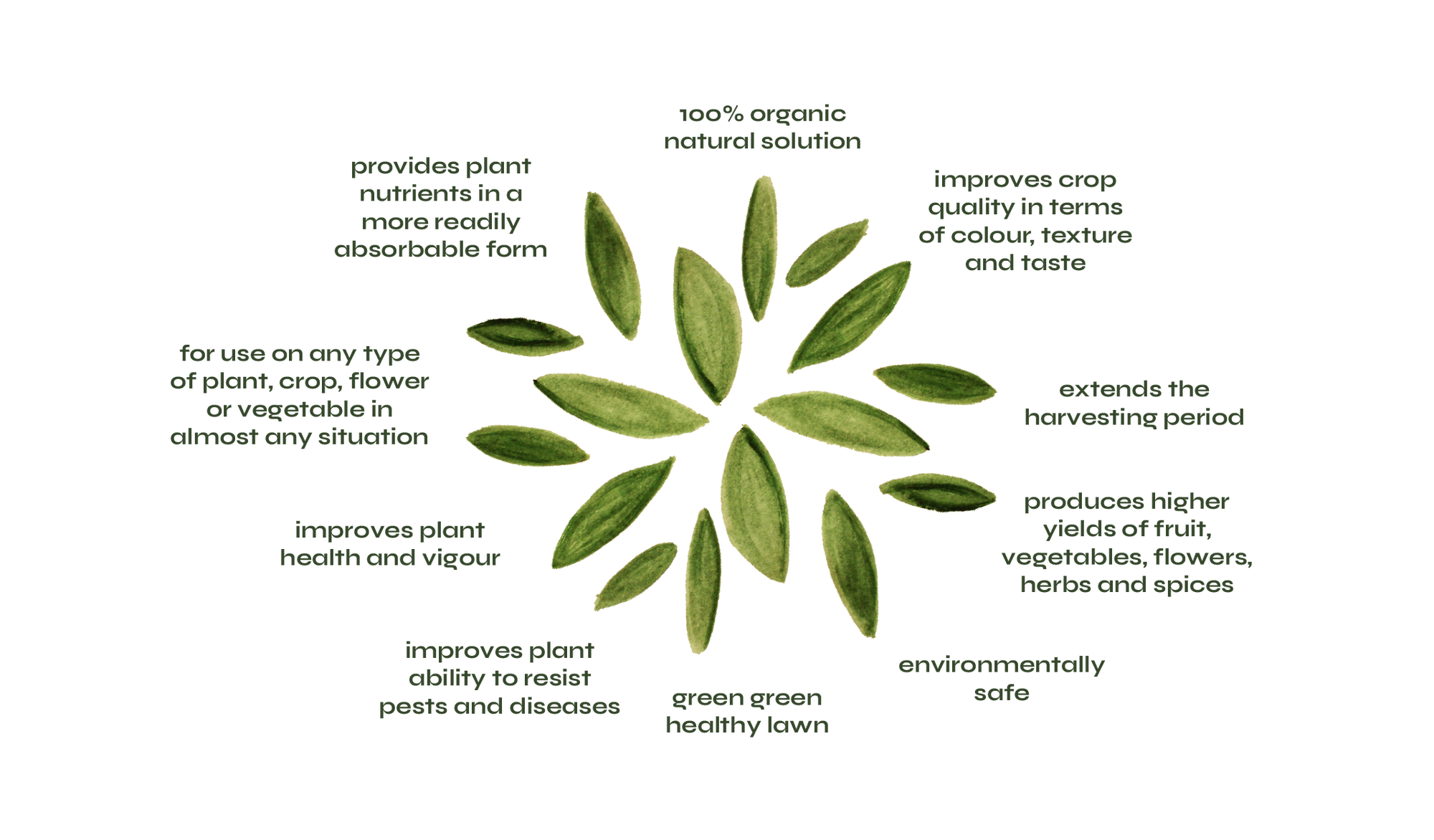 Earthfood is Life, naturally better.