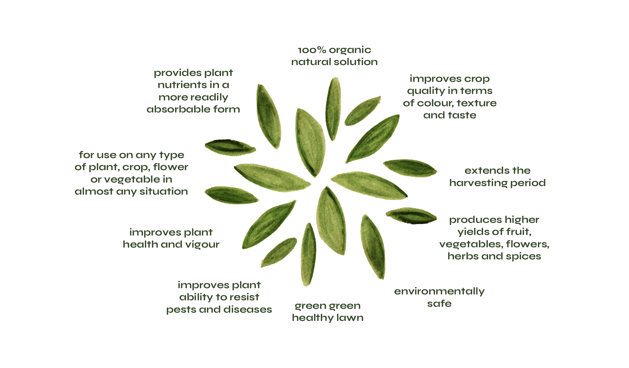 Earthfood is Life, naturally better.